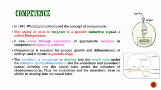 concept of competence and differentiation of embryonic cells | PDF