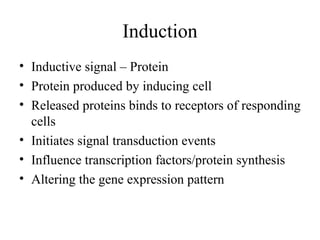 General Concepts of Organism Development | PPT