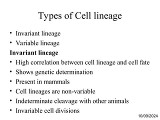 Morphogenesis in Plants and Animals - Developmental Biology | PPT