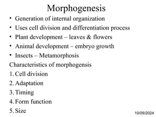 Morphogenesis in Plants and Animals - Developmental Biology | PPT