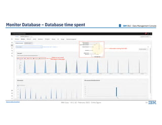 Db2 Data Management Console User Manual - April 2023.pdf