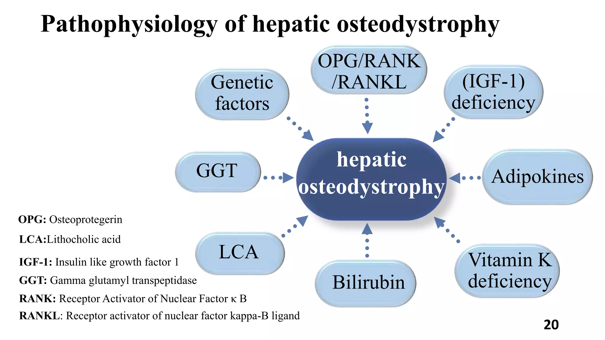 Secondary Osteoporosis Presentation | PPTX