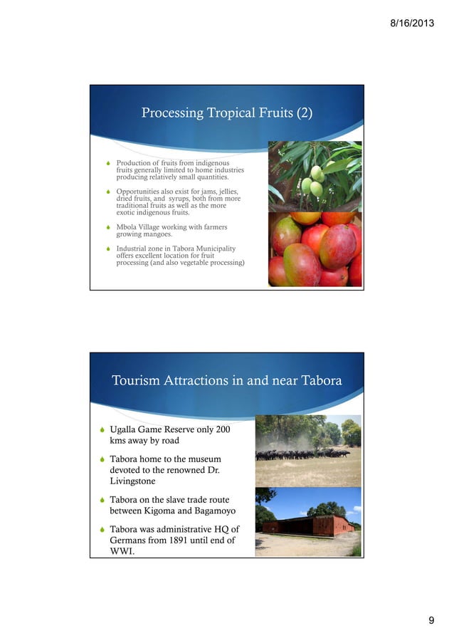 TABORA INVESTMENT OPPORTUNITIES | PDF