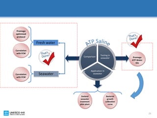 Final MSc thesis presentation | PPTX