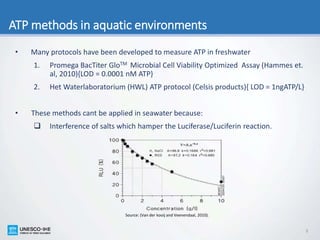 Final MSc thesis presentation | PPTX