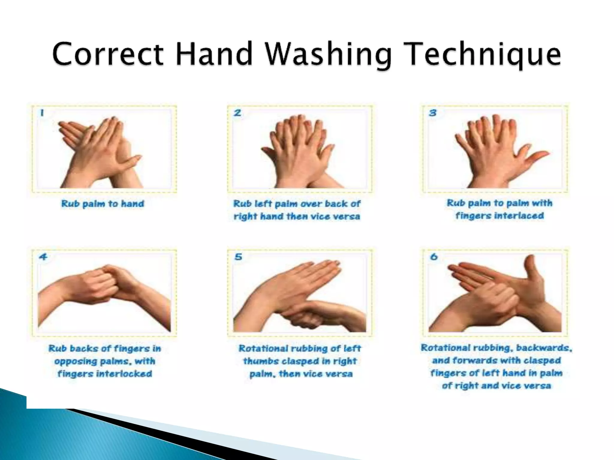 HCSW Hand Hygiene Competency | PPT