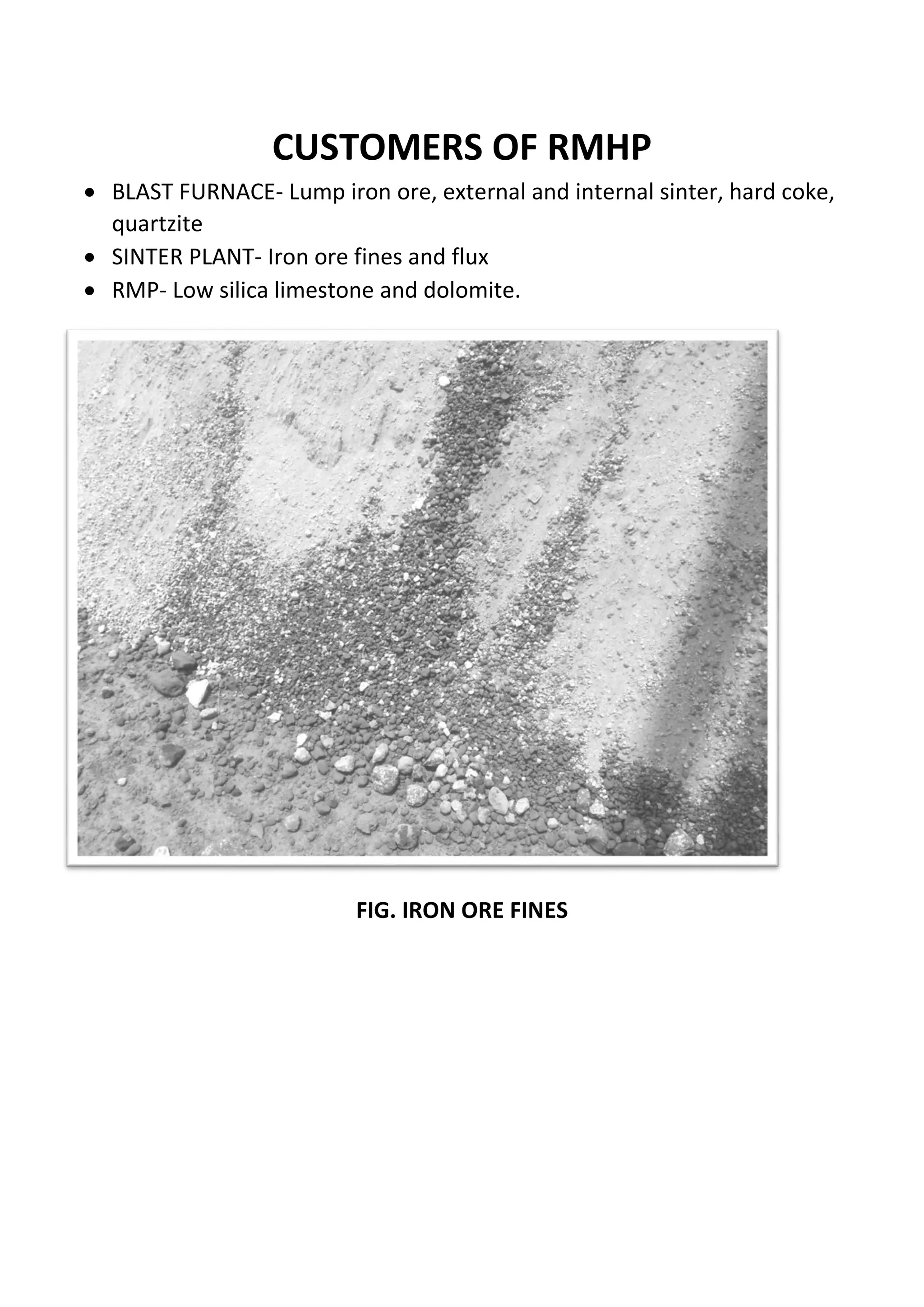 project report bsl | PDF