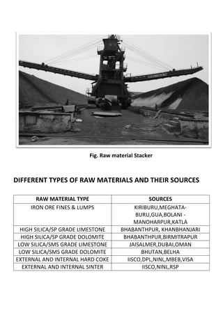 project report bsl | PDF