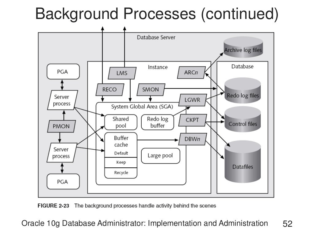 Dba Oracle