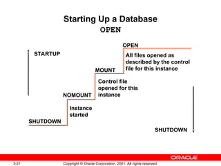 Overview of Primary Components of the Oracle | PPT