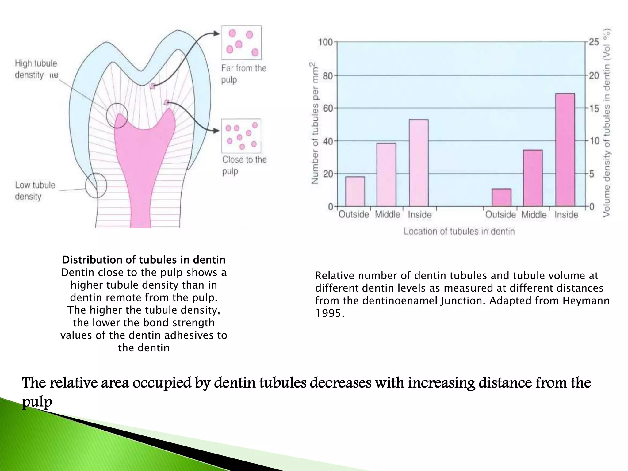 Dentin bonding agents sneha | PPTX