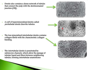 Dentin bonding agents sneha | PPTX
