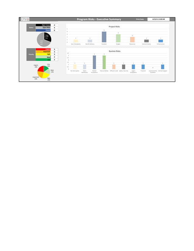 Program Workkit - Risk and Issue Register | PDF