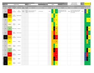 Program Workkit - Risk and Issue Register | PDF