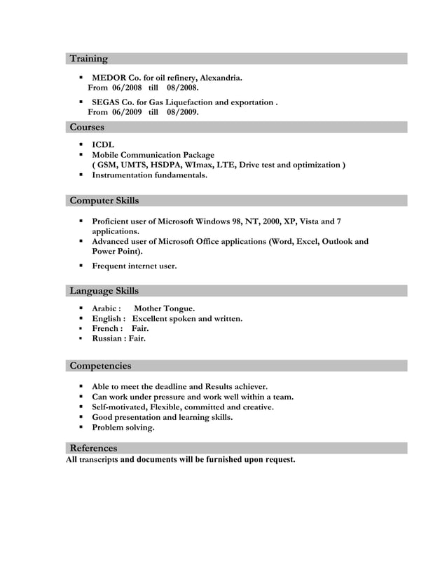 Ibrahim El Naggar CV PDF