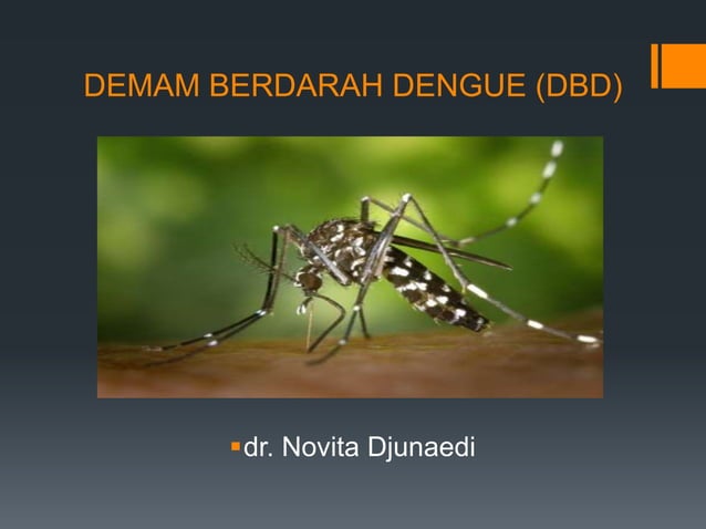 DEMAM BERDARAH DENGUE - KEGIATAN PROLANIS KYC | PPTX