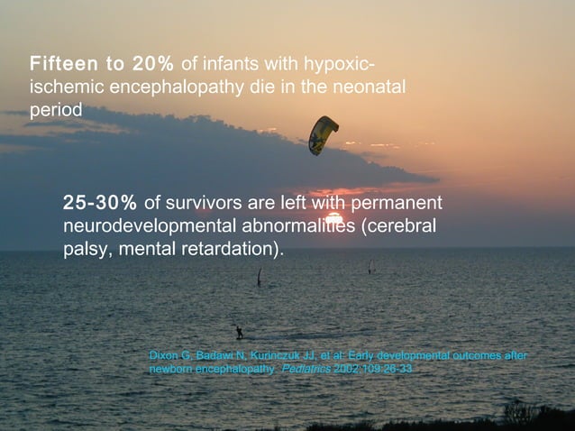 Hypoxic Ischemic Encephalopathy Ppt