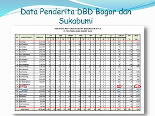 Dbd | PPT