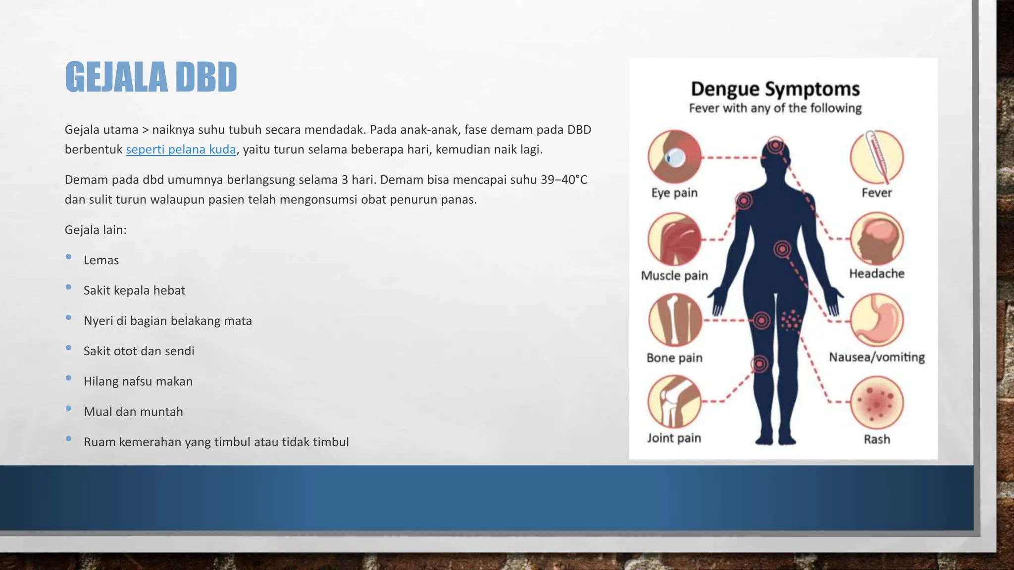 PPT PENYULUHAN TENTANG DEMAM BERDARAH DENGUE | PPTX