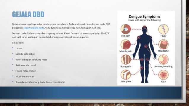 PPT PENYULUHAN TENTANG DEMAM BERDARAH DENGUE | PPTX