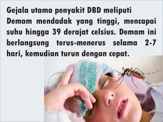 Demam berdarah dengue in daily life.pptx