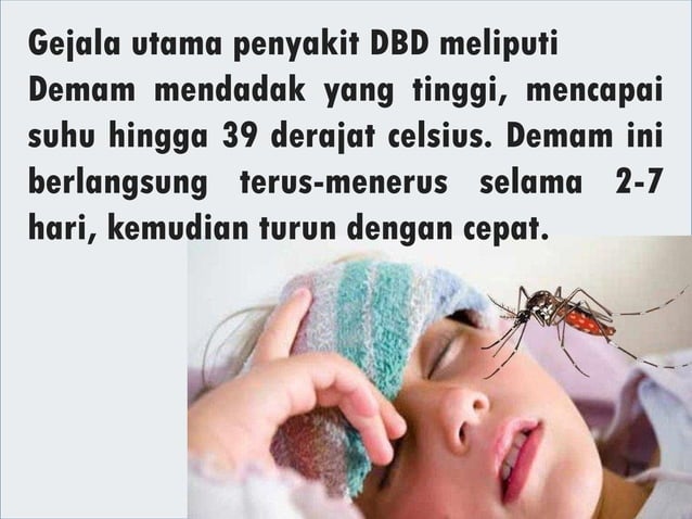 Demam berdarah dengue in daily life.pptx