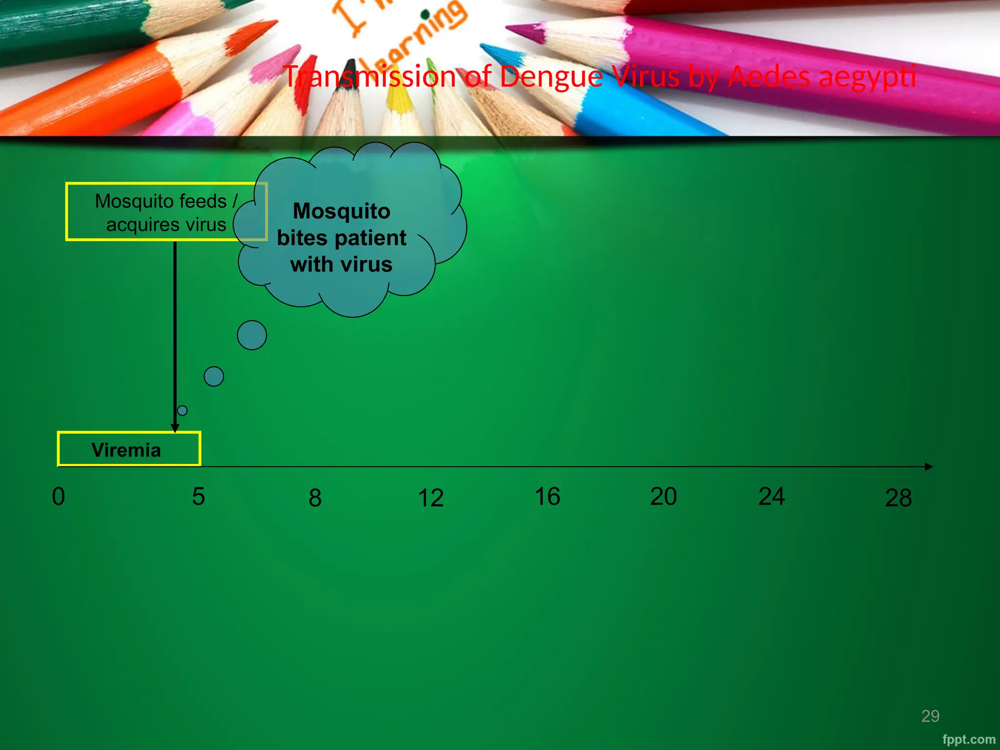 DBD demam berdasarah dengue ...... .pptx