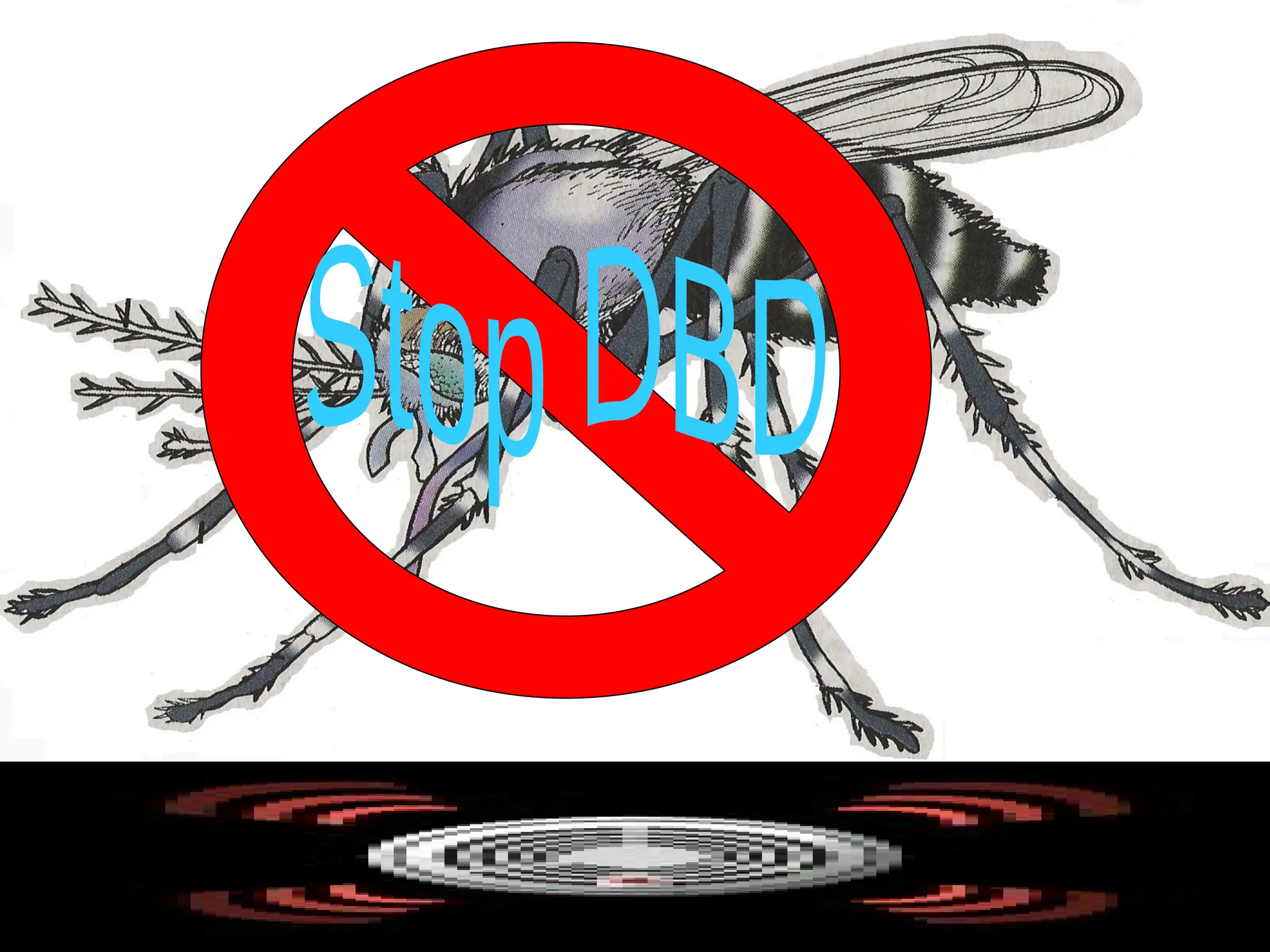 DBD dan pencegahan sumber informasi unruk anak sd | PPTX