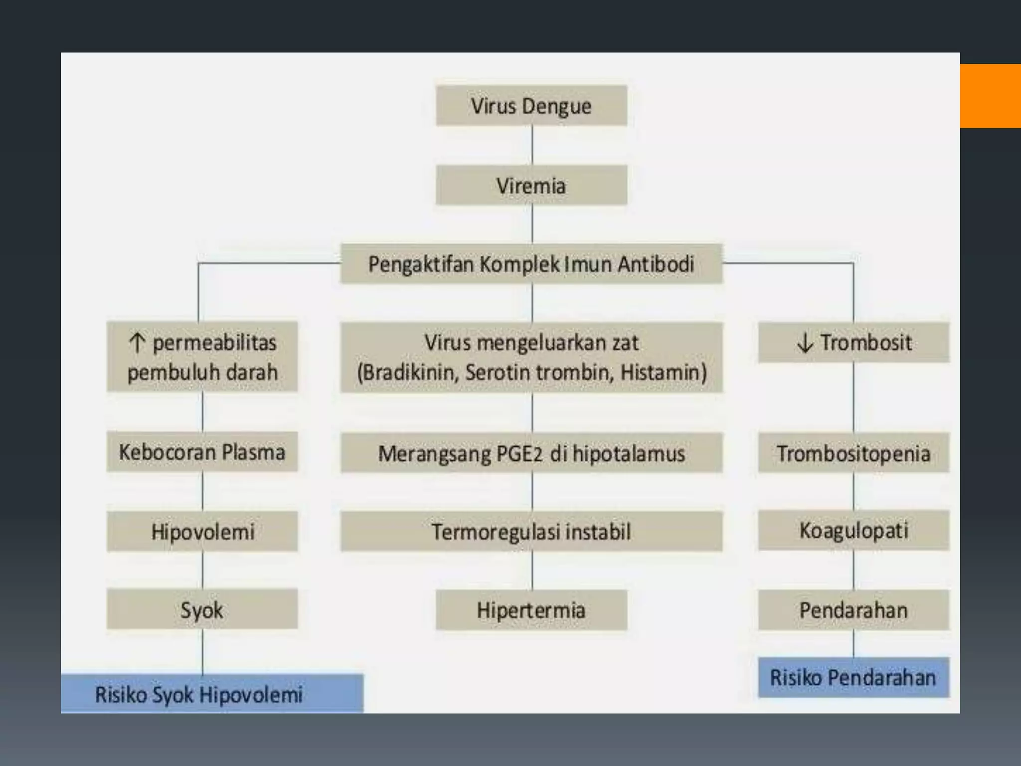 Power Point Demam Berdarah Dengue (DBD) | PPTX