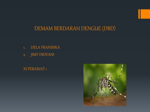 Power Point Demam Berdarah Dengue (DBD) | PPTX