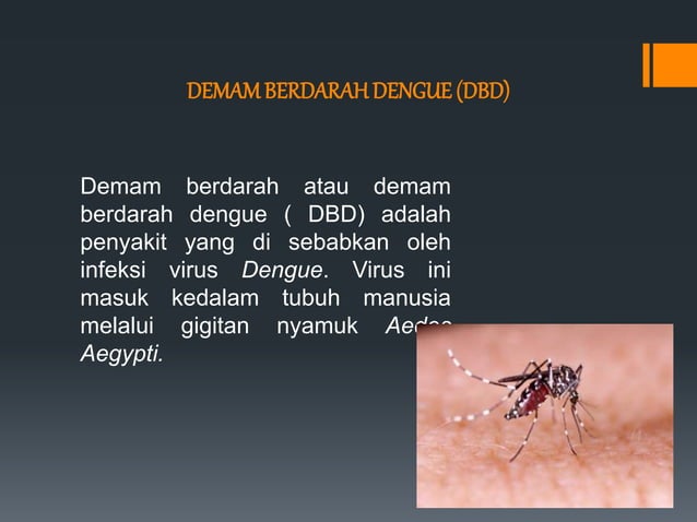 Power Point Demam Berdarah Dengue (DBD) | PPTX