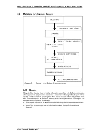 Database Development Strategies | PDF