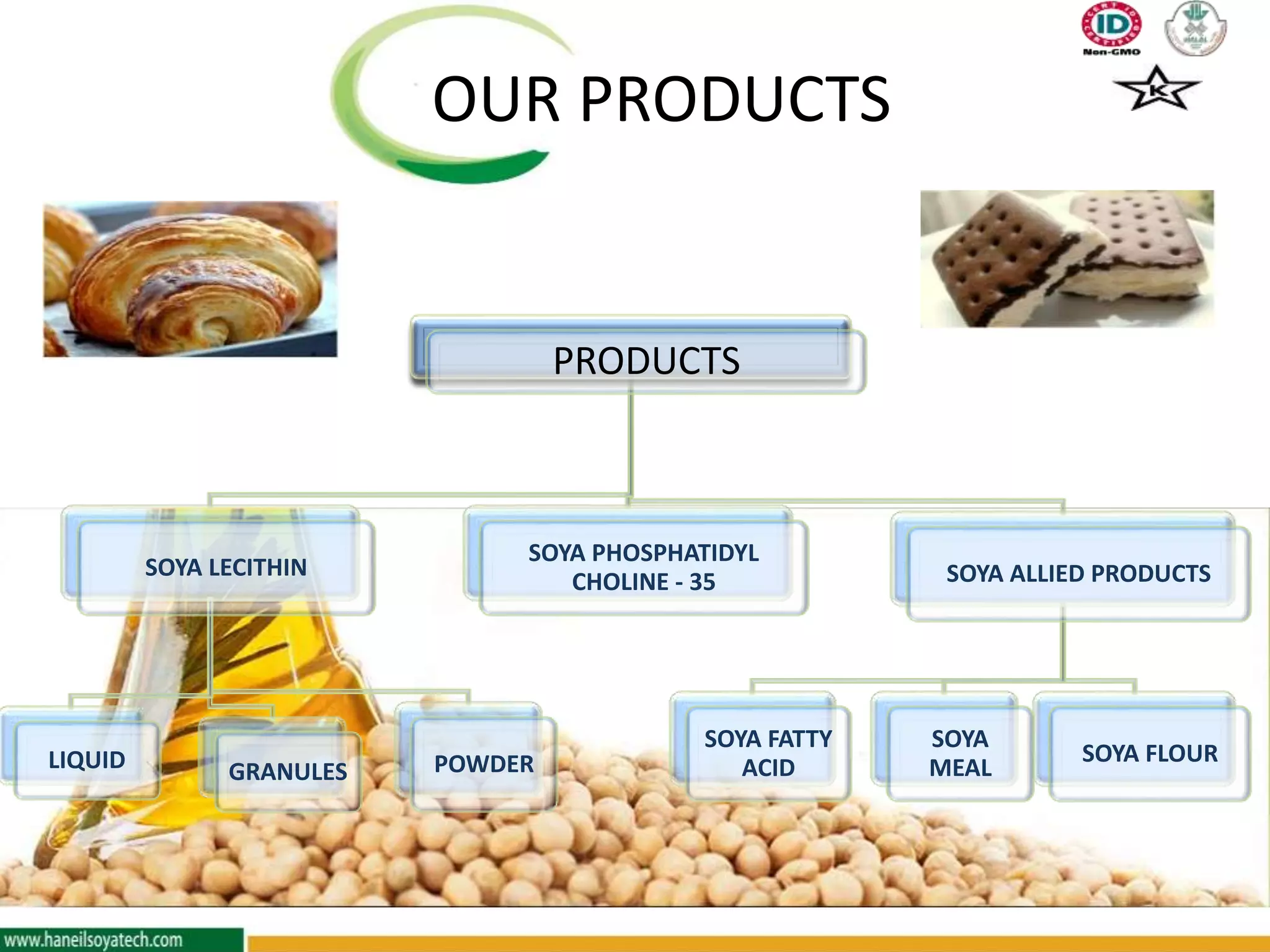 HANEIL SOYATECH | PPTX