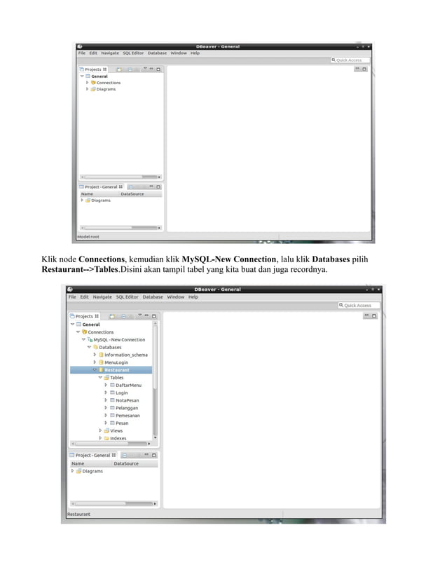D beaver database manager | PDF