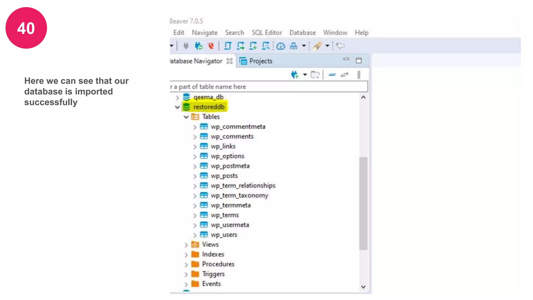 DBeaver installation guide | PPTX