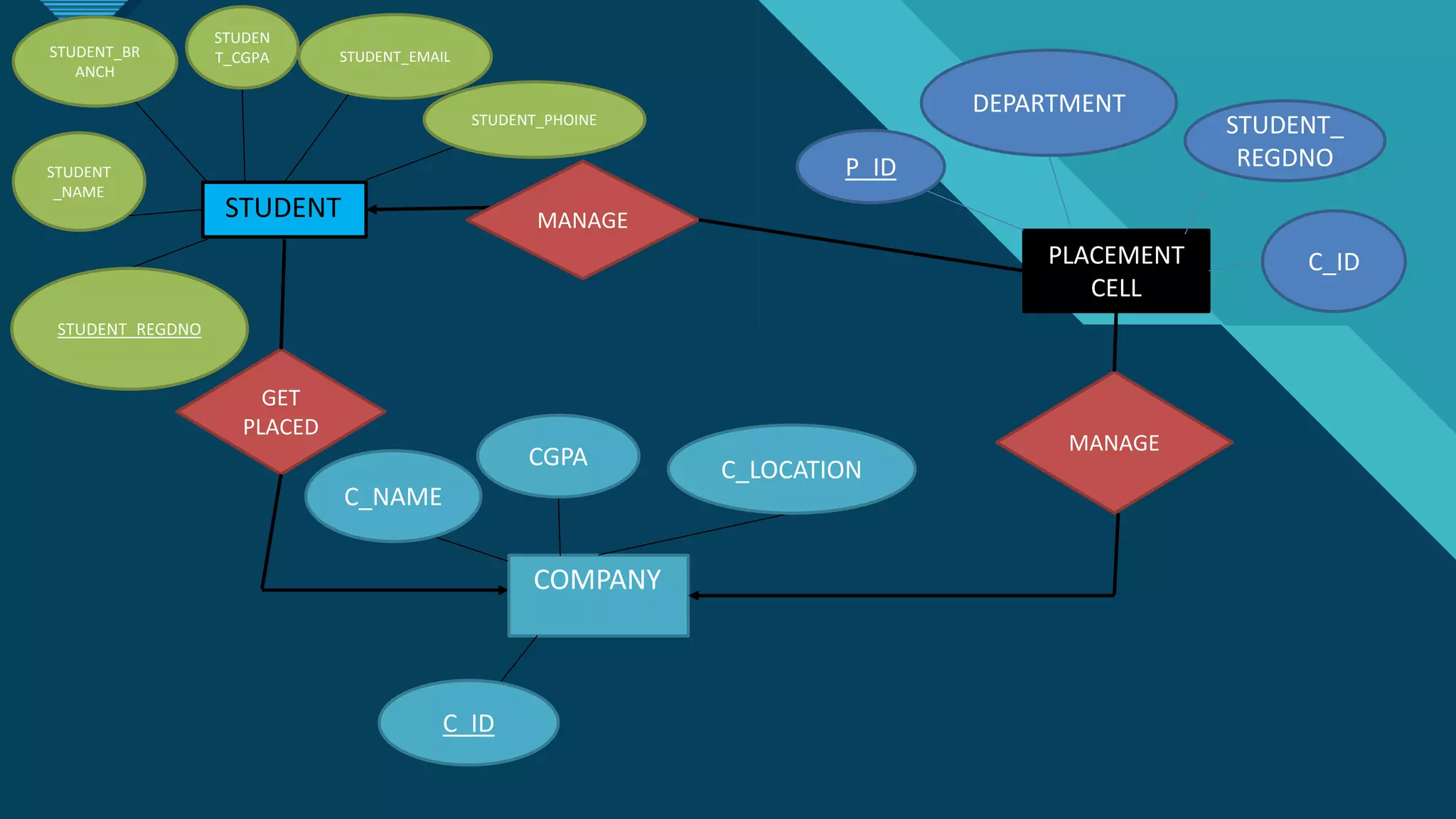 placement management system.pptx