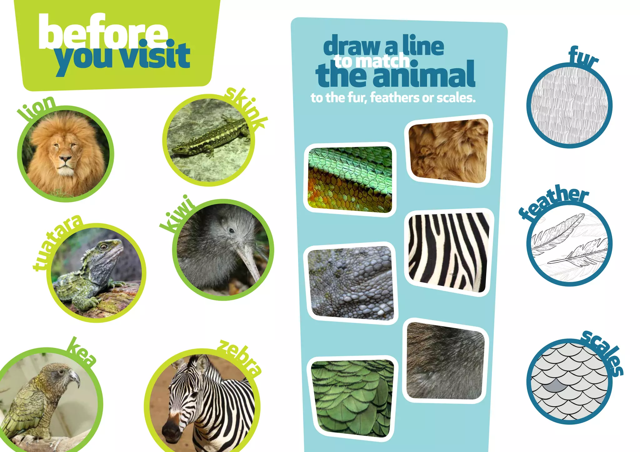 RAIN0132 ZooFari A4_v8 | PPT