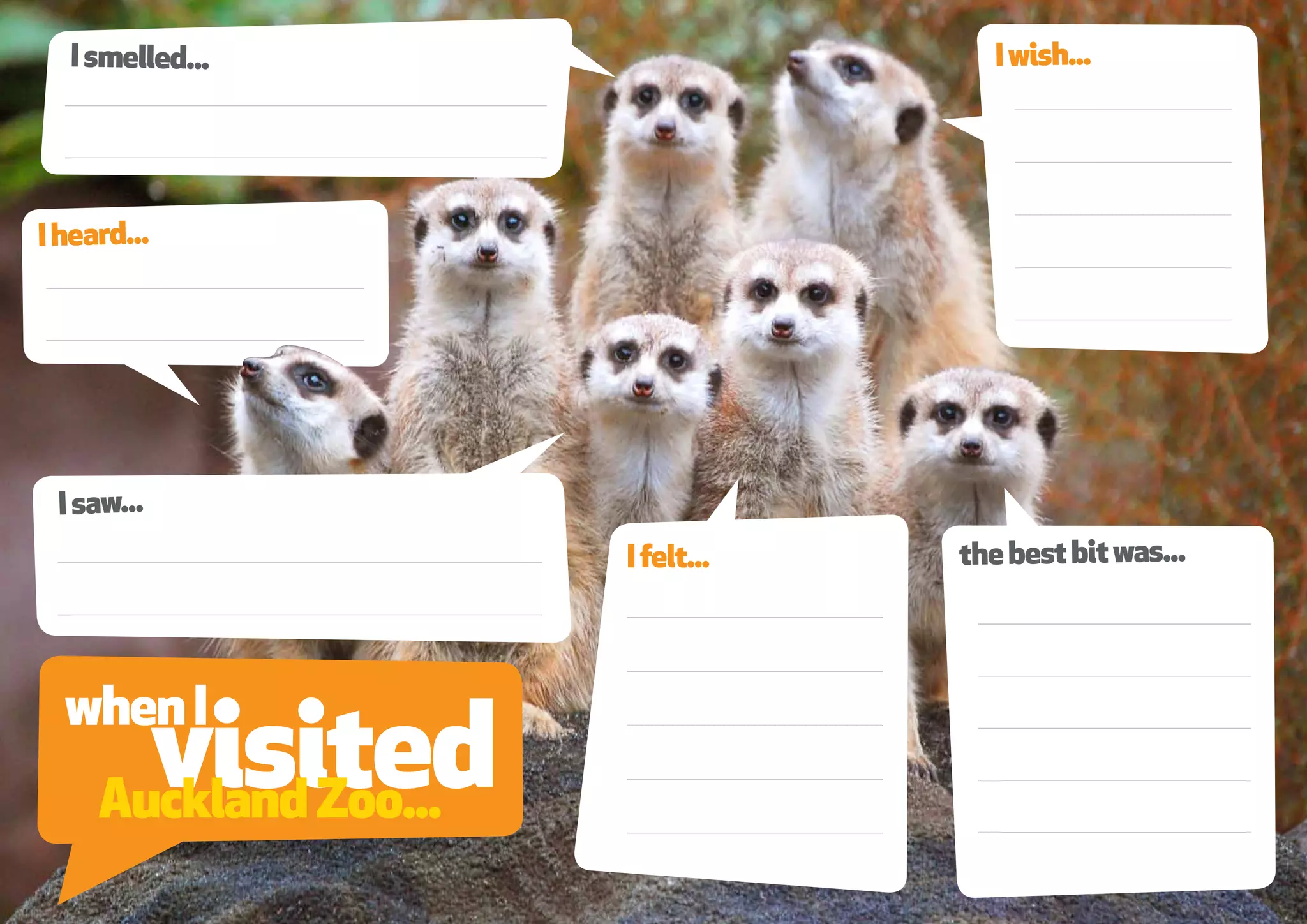 RAIN0132 ZooFari A4_v8 | PPT