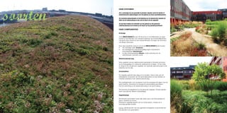 De Boer Green Roof Solutions | PDF