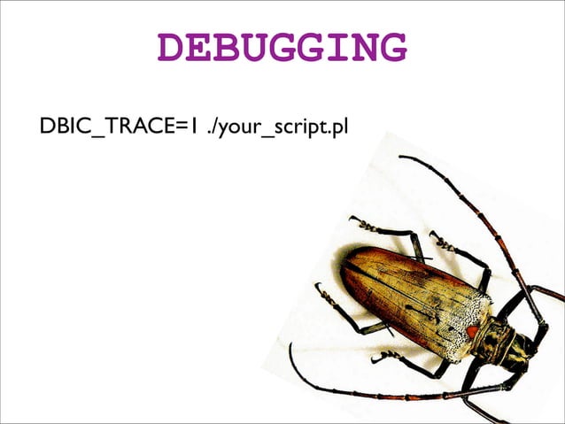 DBIx::Class beginners | PPT