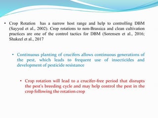 Current scenario on pest status of DBM Plutella xylostella and its ...