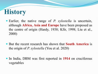 Current scenario on pest status of DBM Plutella xylostella and its ...