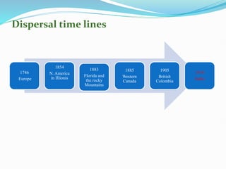 Current scenario on pest status of DBM Plutella xylostella and its ...
