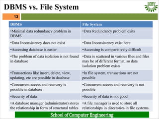 Introduction to Database Management System | PDF
