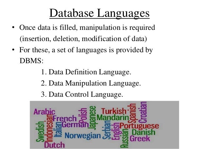 Database Management System
