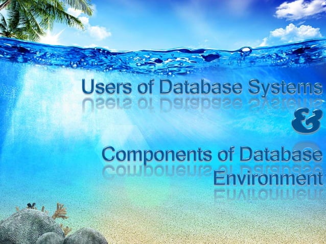 Users of Database Systems and Components of Database Environment | PPT
