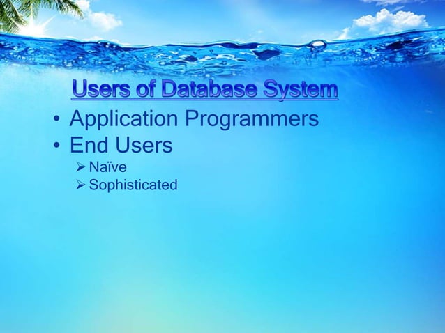Users of Database Systems and Components of Database Environment | PPT