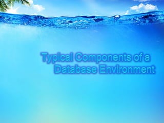Users of Database Systems and Components of Database Environment | PPT