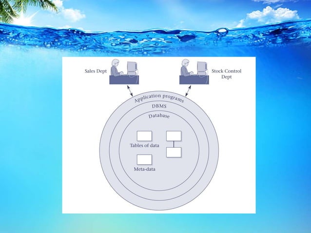 Users of Database Systems and Components of Database Environment | PPT