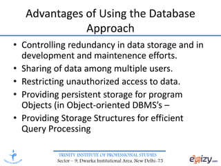 Database Management System | PPT